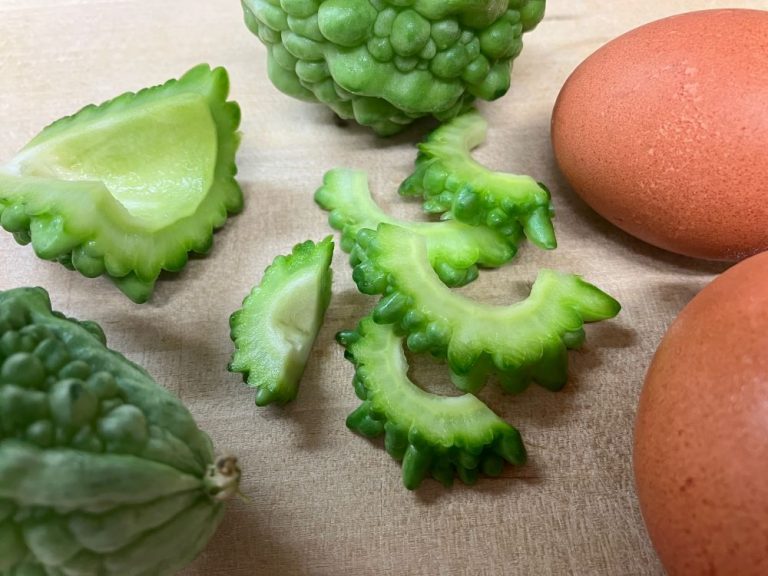 Okinawa Vegetables Bitter Gourd | Blog | Japanese Language Study in ...